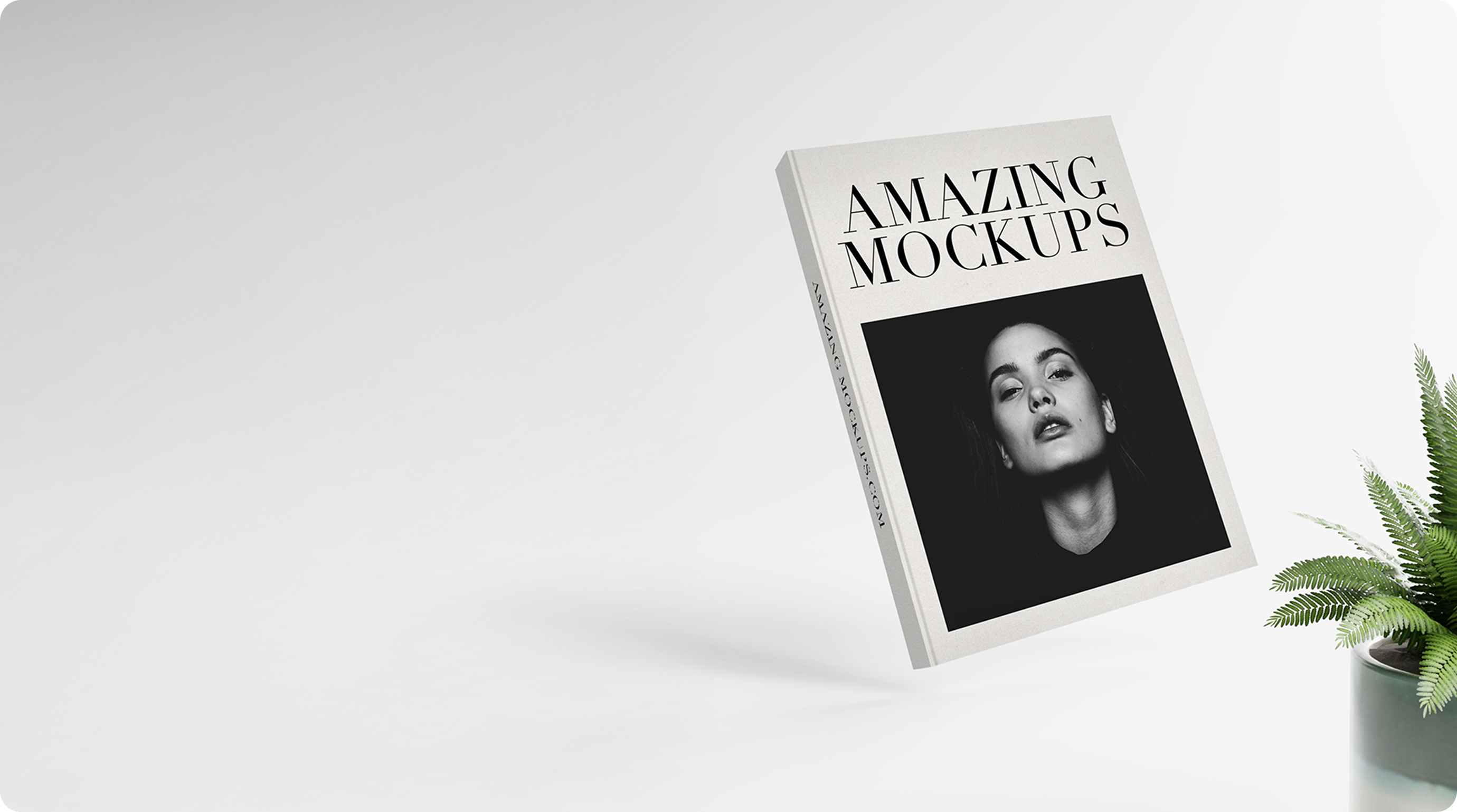 Your Term Insurance Guide - Videos, Hack and Insights